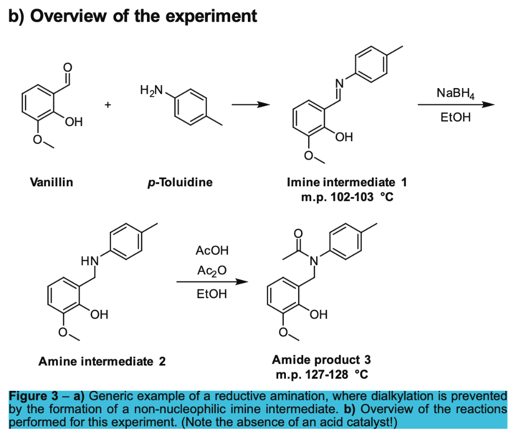 Solved b) Overview of the experiment Amine intermediate 2 | Chegg.com