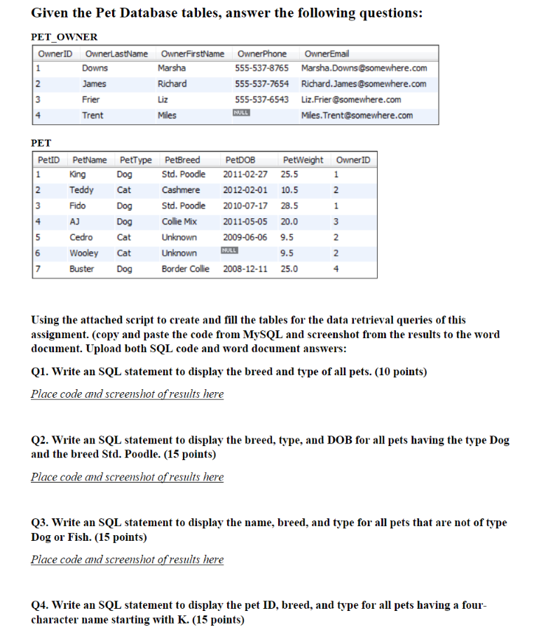 Solved Given the Pet Database tables, answer the following | Chegg.com