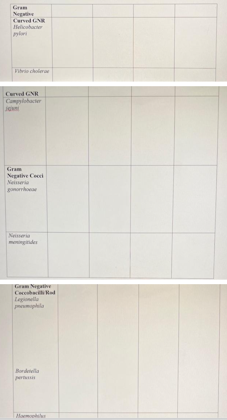 Solved Curved GNR Campylobacter jejumi Gram Negative Cocci | Chegg.com