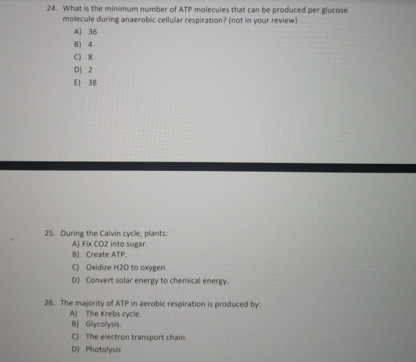 Solved 24. What is the minimum number of ATP molecules that | Chegg.com