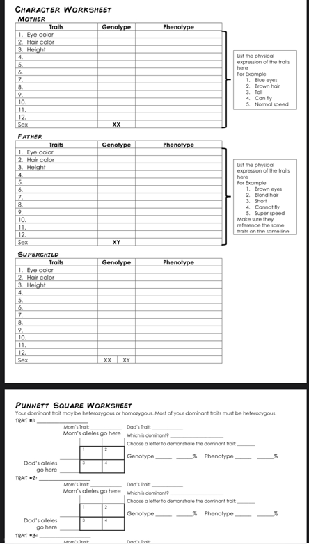 Solved Student Directions: 1. Choose two superheroes that | Chegg.com