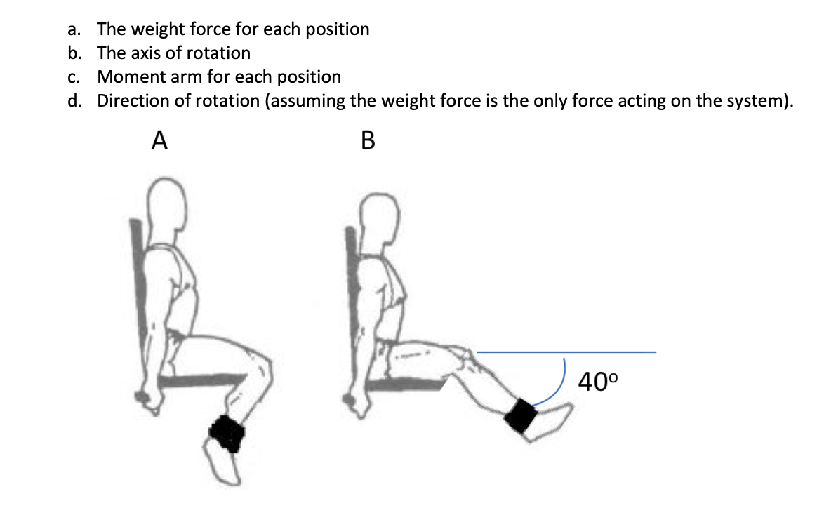 Solved a. The weight force for each position b. The axis of | Chegg.com