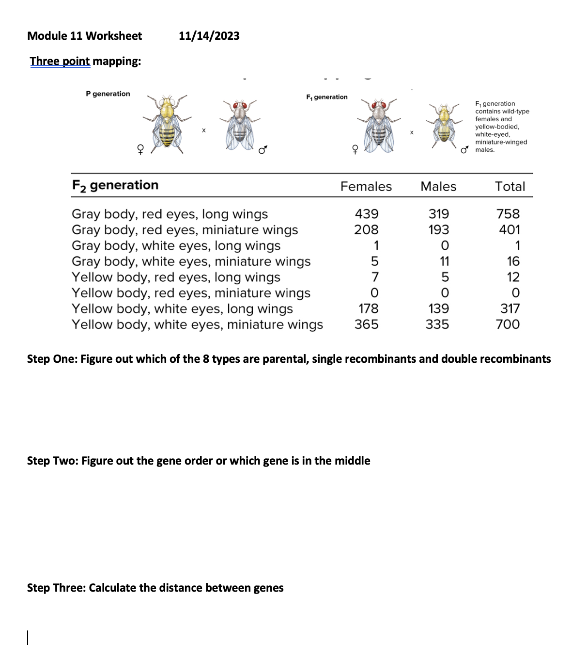 Solved Three point mapping:P generationF1 ﻿generationF1 | Chegg.com