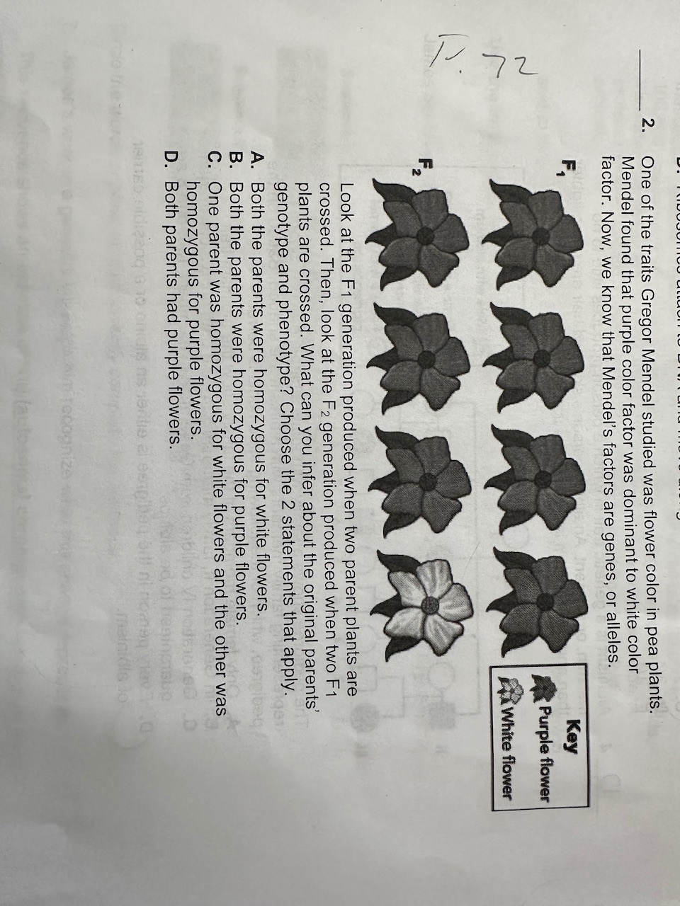 Solved One of the traits Gregor Mendel studied was flower | Chegg.com