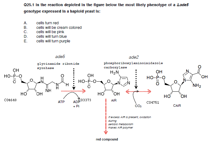 Solved Q25.1 In the reaction depicted in the figure below | Chegg.com