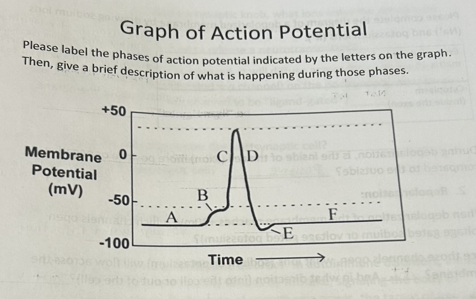 Solved Graph of Action PotentialPlease label the phases of | Chegg.com