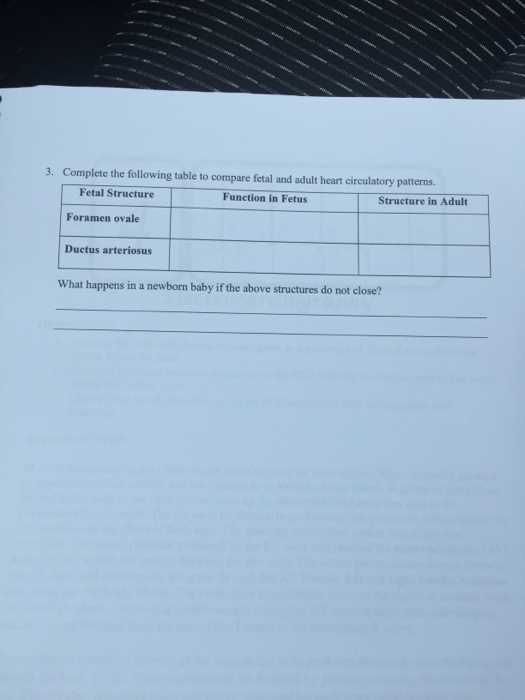 Solved Complete the following table to compare fetal and | Chegg.com