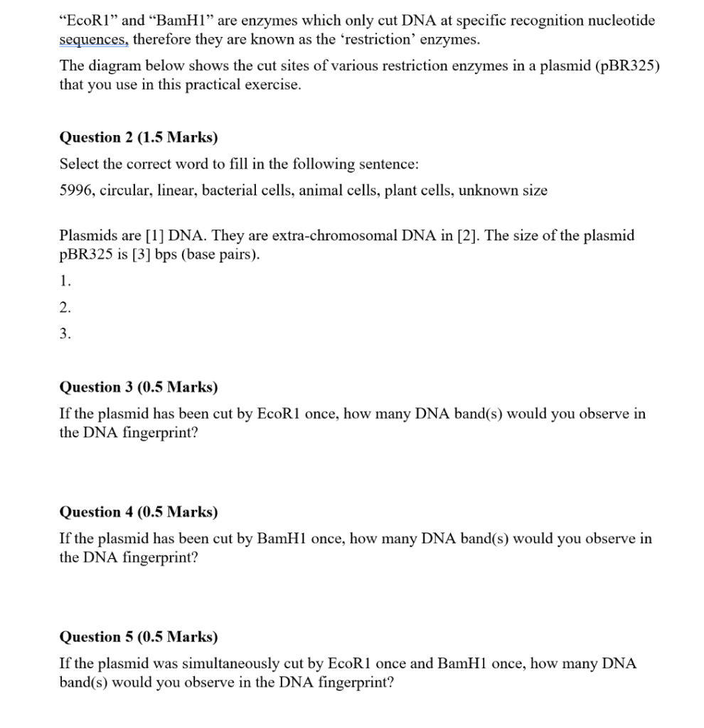"EcoR1" and "BamH1" are enzymes which only cut DNA at | Chegg.com