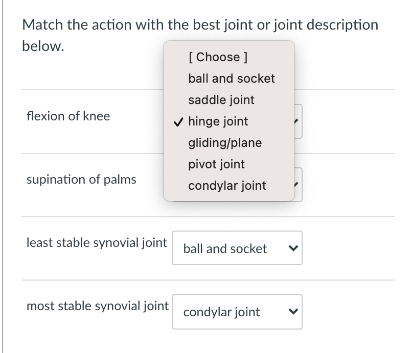 Solved Match the joint with the appropriate description. | Chegg.com