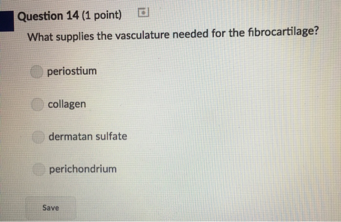 Solved Question 14 (1 point) What supplies the vasculature | Chegg.com