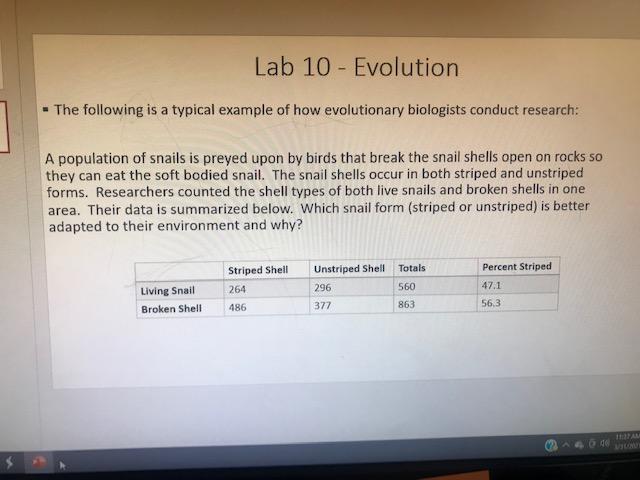 Solved Lab 10 - Evolution - The following is a typical | Chegg.com