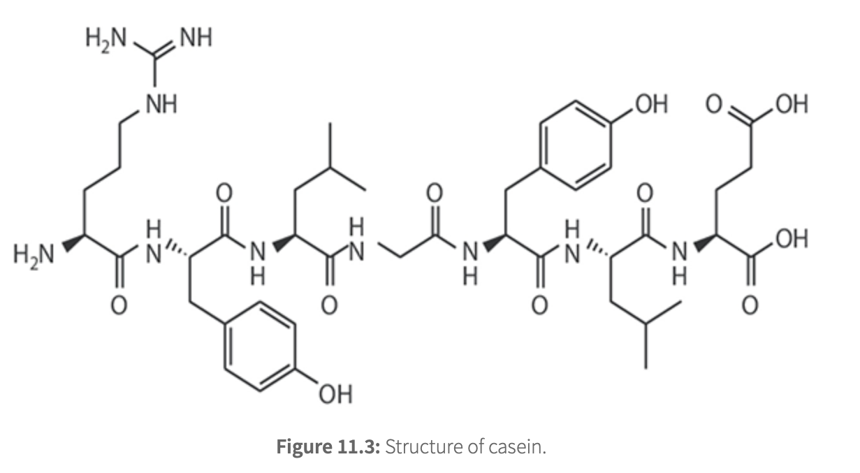 Solved Question 4 (3 points) Review the structure of casein | Chegg.com