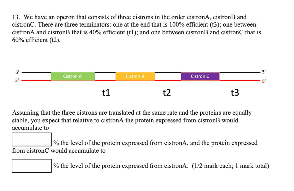 Solved 13. We have an operon that consists of three cistrons | Chegg.com