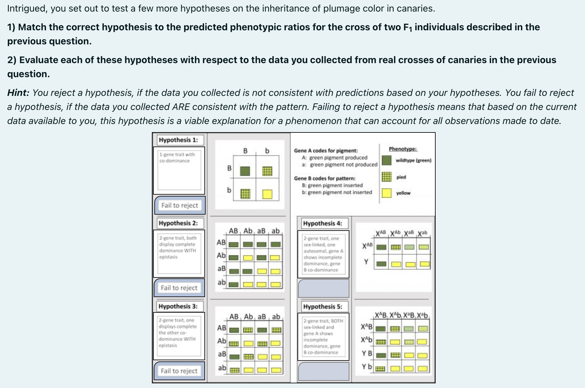 Solved Intrigued, you set out to test a few more hypotheses | Chegg.com