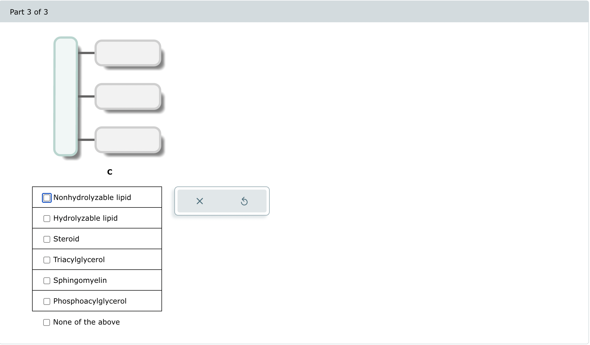 Solved Drder the compounds made of the following molecules | Chegg.com