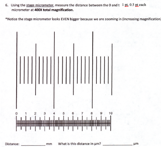 Solved 6. Using the stage micrometer, measure the distance | Chegg.com