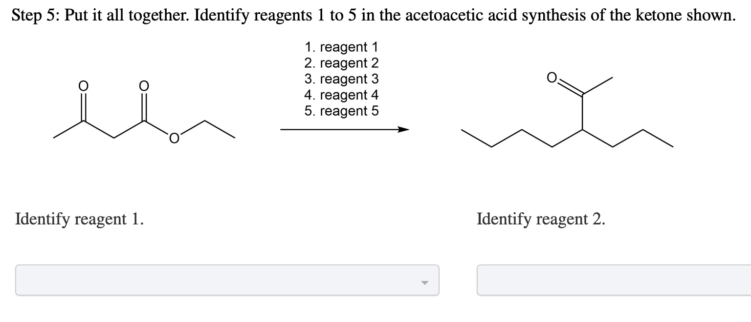 Solved Synthesize the compound shown using the acetoacetic | Chegg.com