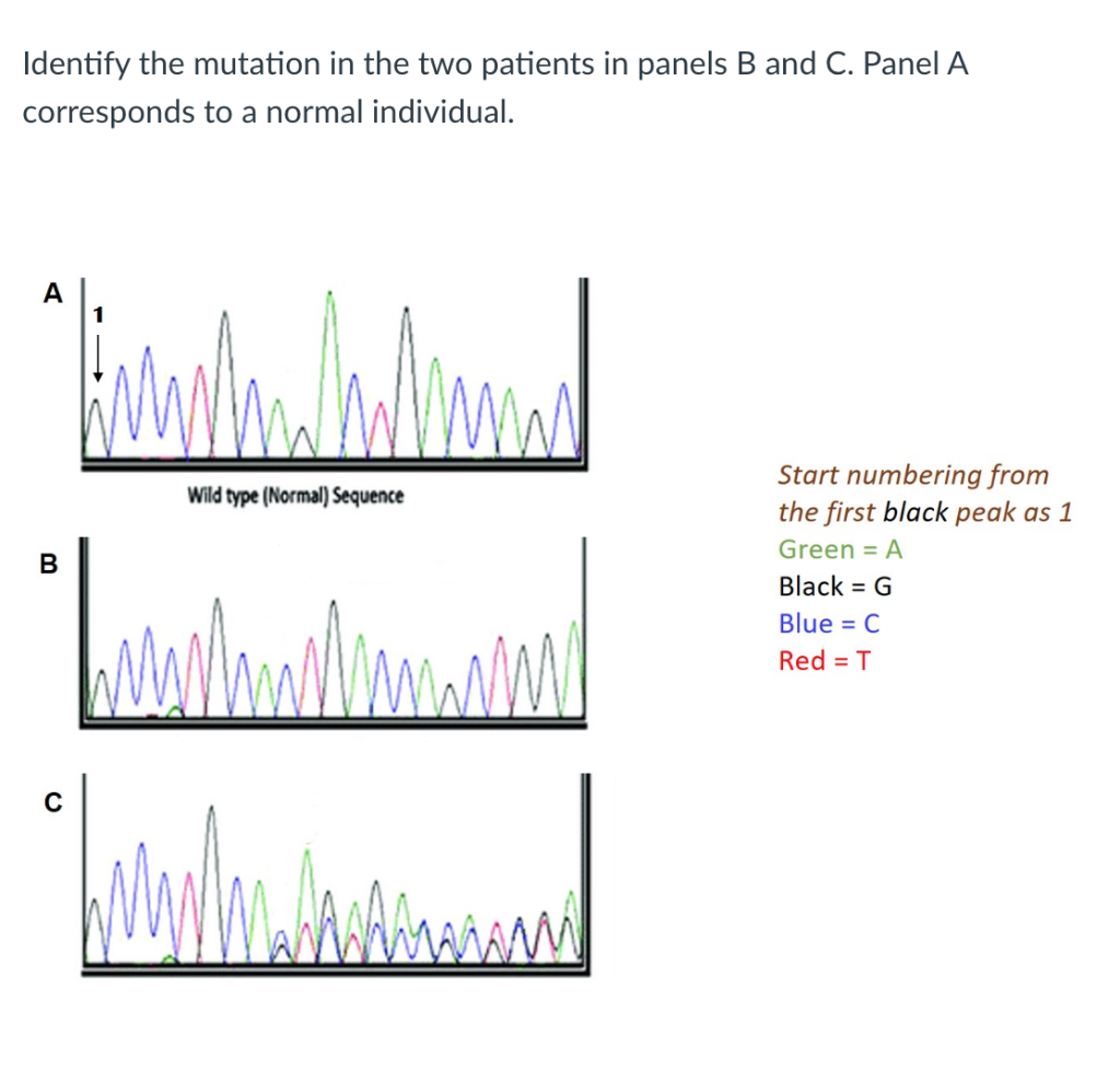 Solved Identify the mutation in the two patients in panels B | Chegg.com