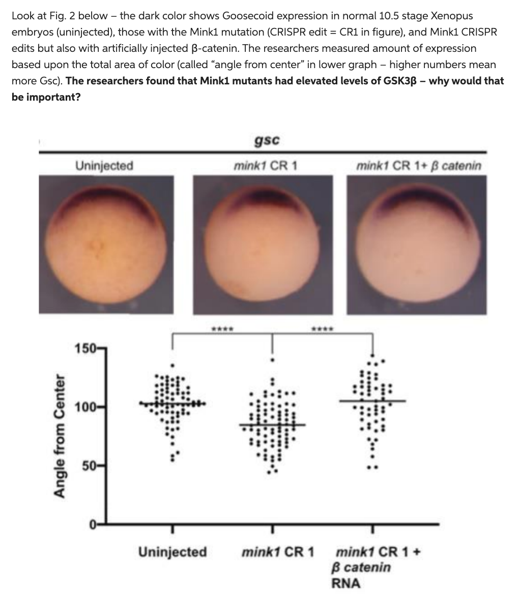 Solved Look at Fig. 2 below - the dark color shows Goosecoid | Chegg.com