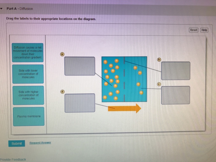 Solved Part A-Diffusion Drag the labels to their appropriate | Chegg.com Solved Part A-Diffusion Drag the labels to their appropriate | Chegg.com