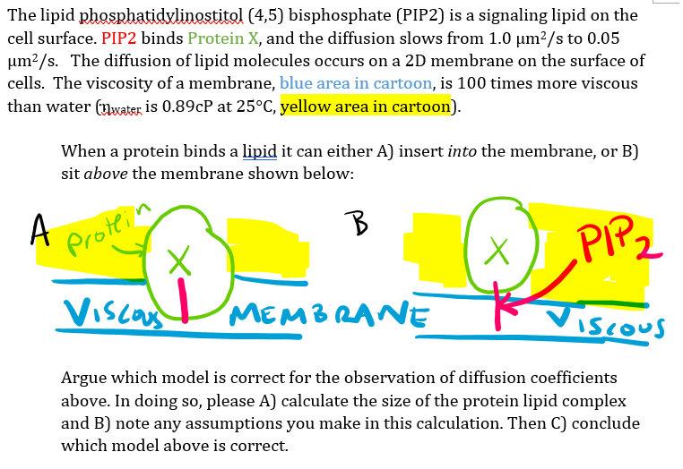 Solved The lipid phosphatidylingstitel (4,5) bisphosphate | Chegg.com