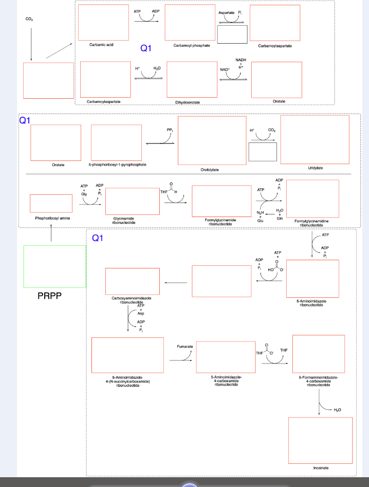 Solved Question 1: (10 points) Fill in boxes labelled Q1 on | Chegg.com Solved Question 1: (10 points) Fill in boxes labelled Q1 on | Chegg.com