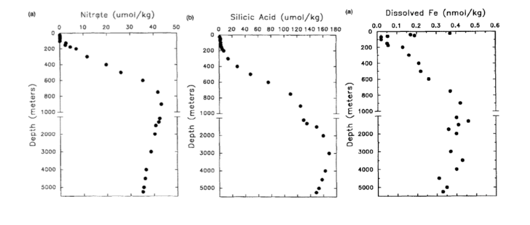 Describe the Iron profile and speculate on what | Chegg.com