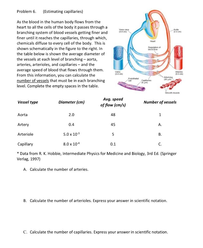 Solved Problem 6. (Estimating capillaries) As the blood in | Chegg.com