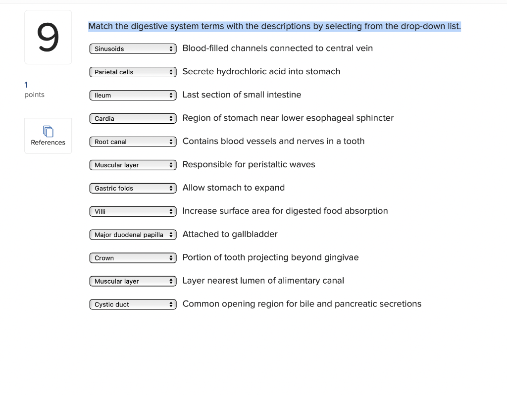 Solved Match the digestive system terms with the | Chegg.com