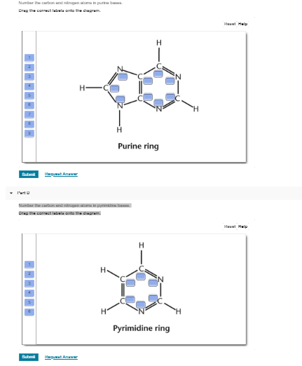 Solved Purine ring 1 Pyrimidine ring | Chegg.com