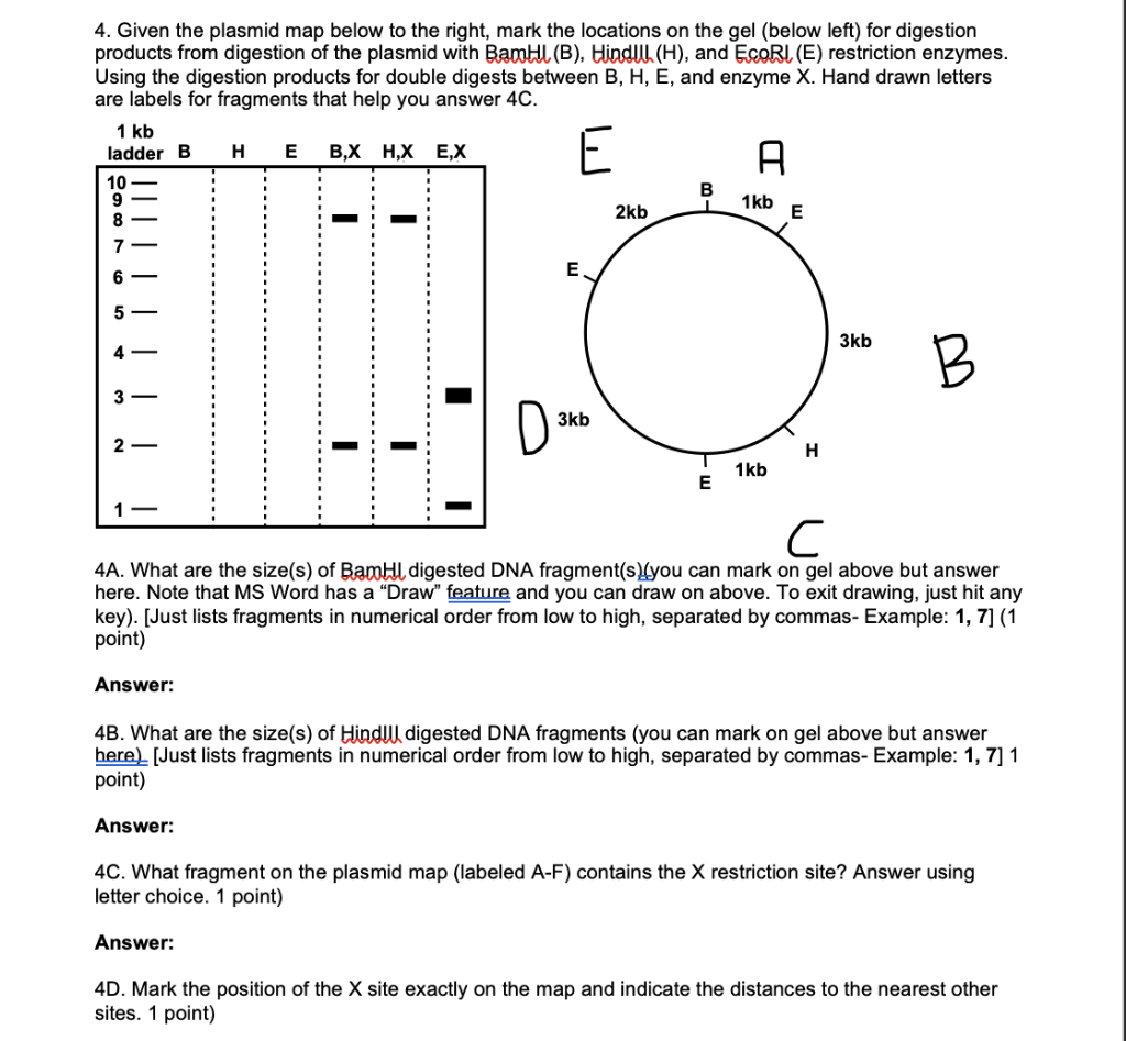 Solved 4. Given the plasmid map below to the right, mark the | Chegg.com