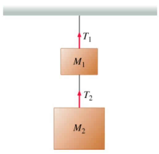 Solved Two blocks with masses M1=3.93kg, and M2=5.31kg hang | Chegg.com