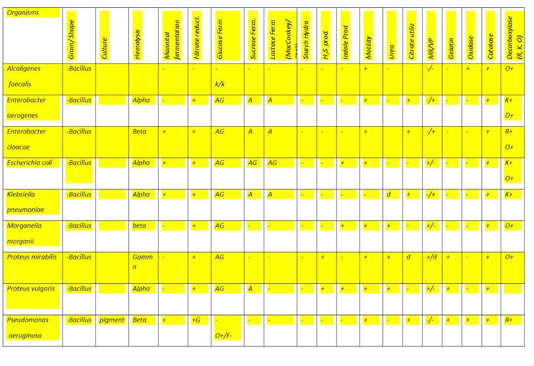 Solved Microbiology Construct the Dichotomous keys from | Chegg.com