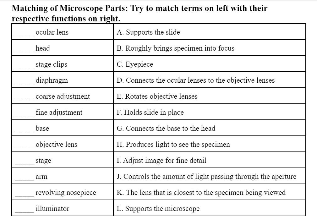 Solved Matching of Microscope Parts: Try to match terms on | Chegg.com