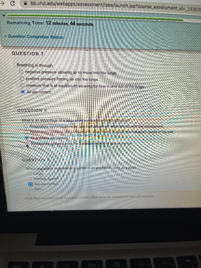 Solved bb.uhd.edu/webapps/assessment/take/launch.jsp?course | Chegg.com