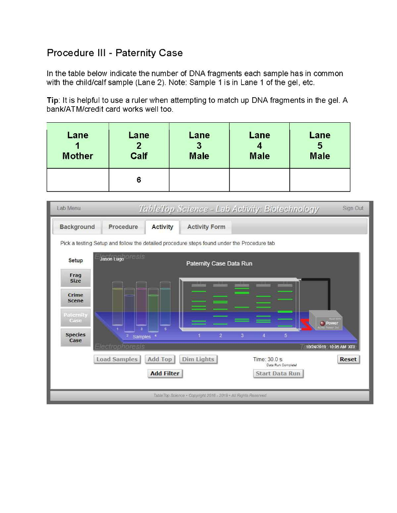 Solved: Procedure III - Paternity Case In The Table Below ... | Chegg.com
