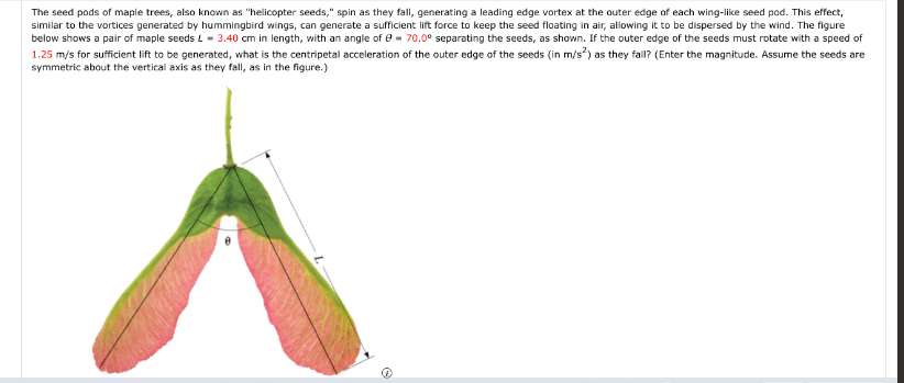 Solved The seed pods of maple trees, also known as | Chegg.com
