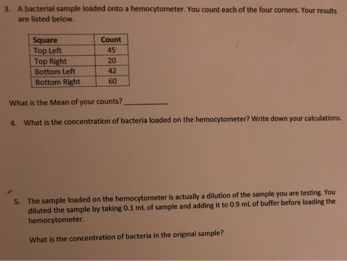 Solved A bacterial sample loaded onto a hemocytometer.You | Chegg.com