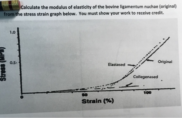 Solved te the modulus of elasticity of the bovine ligamentum | Chegg.com
