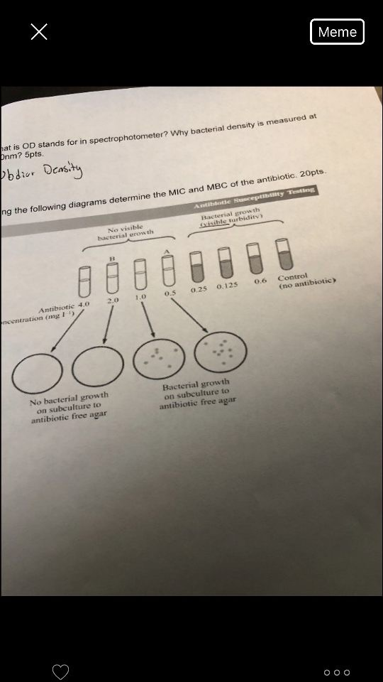 Solved х Meme hat is OD stands for in spectrophotometer? Why | Chegg.com