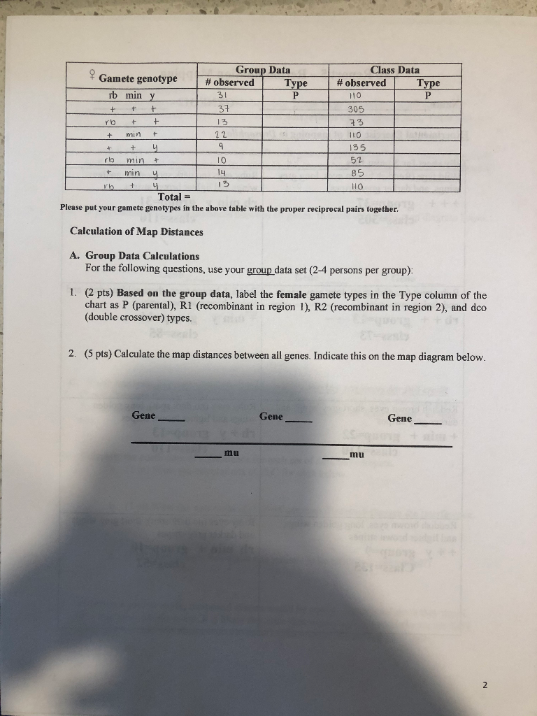 Solved 110 오 Group Data Class Data Gamete genotype #observed | Chegg.com