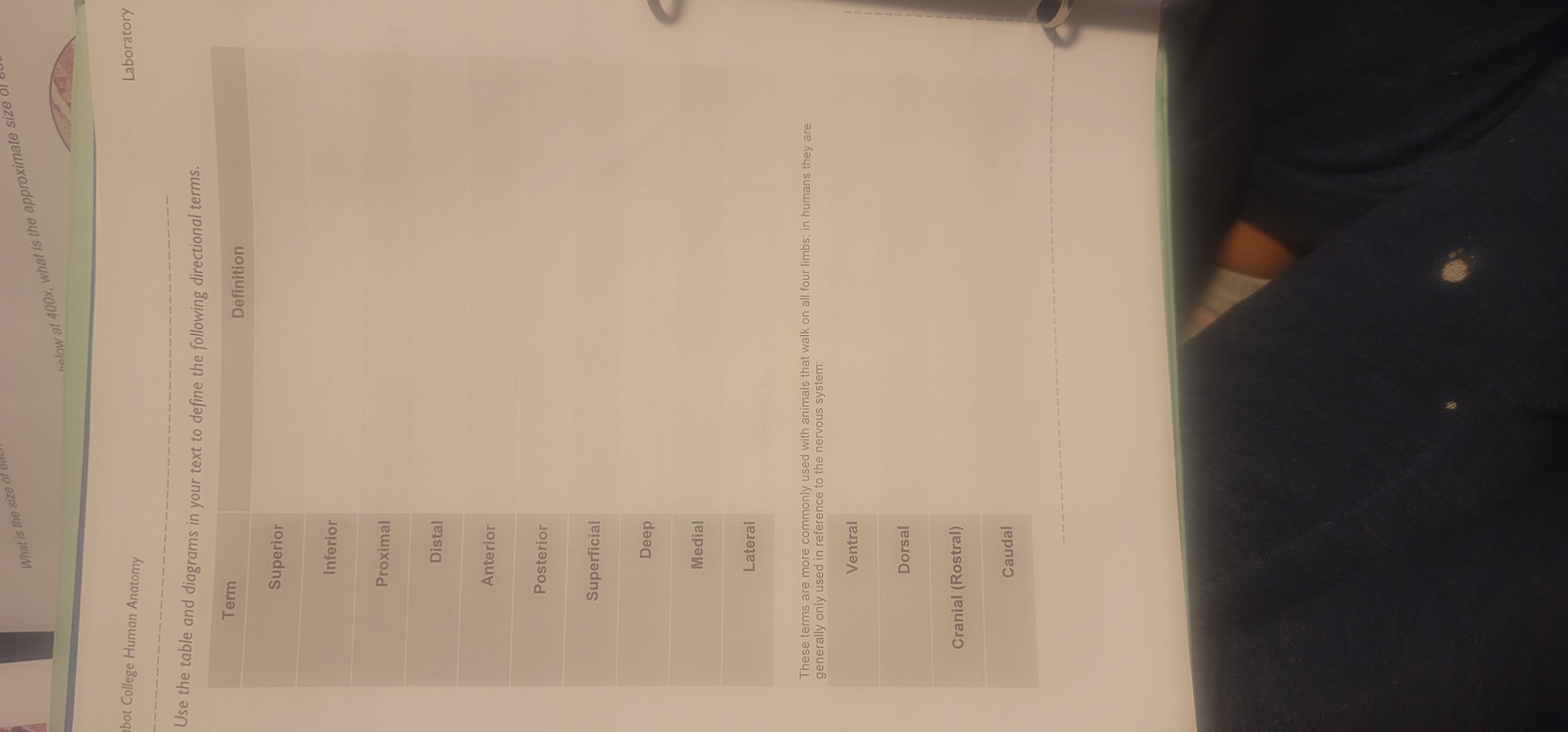 Solved Use the table and diagrams in your text to define the | Chegg.com