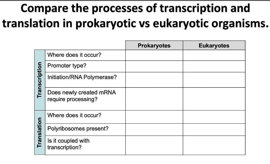 Solved Compare the processes of transcription and | Chegg.com