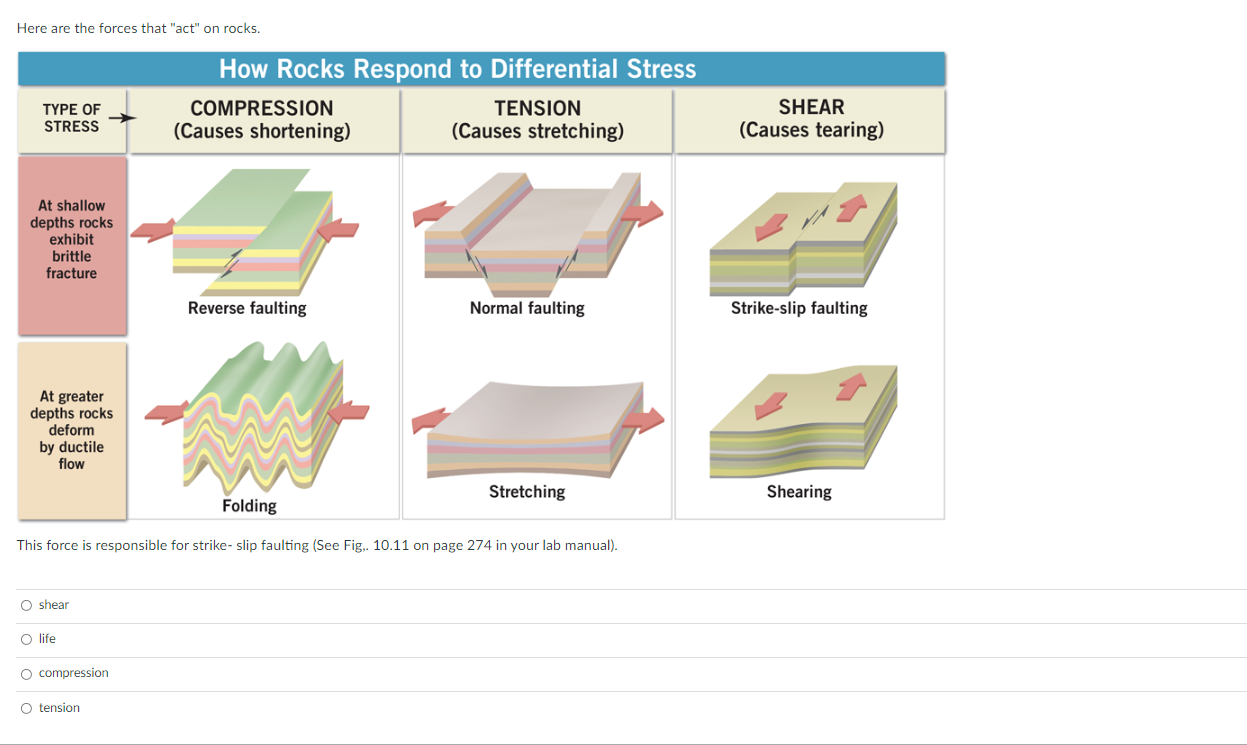 Solved Here are the forces that "act" on rocks. How Rocks | Chegg.com