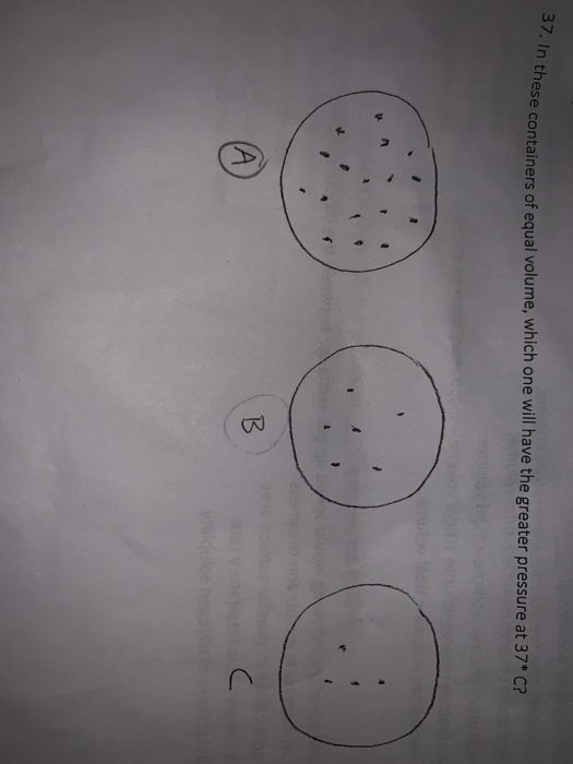 Solved 37. In these containers of equal volume, which one | Chegg.com