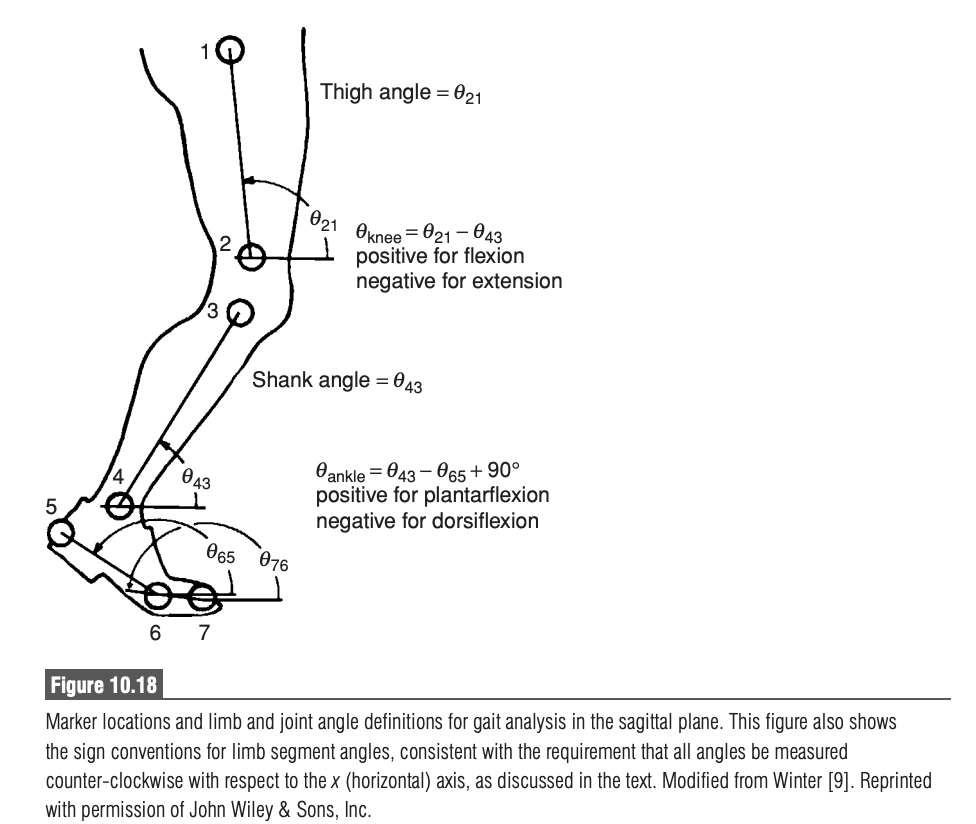 Marker locations and limb and joint angle definitions | Chegg.com