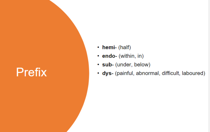 Solved Combining Forms • abdomin/0 (abdomen, abdominal) • | Chegg.com