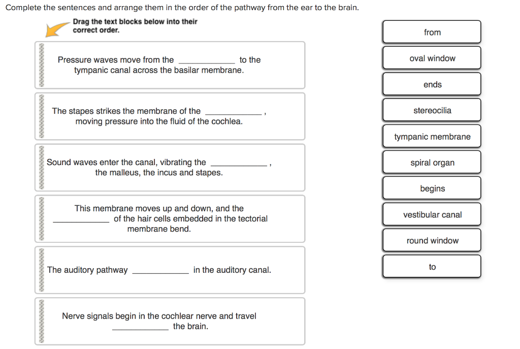 Solved Complete the sentences and arrange them in the order | Chegg.com