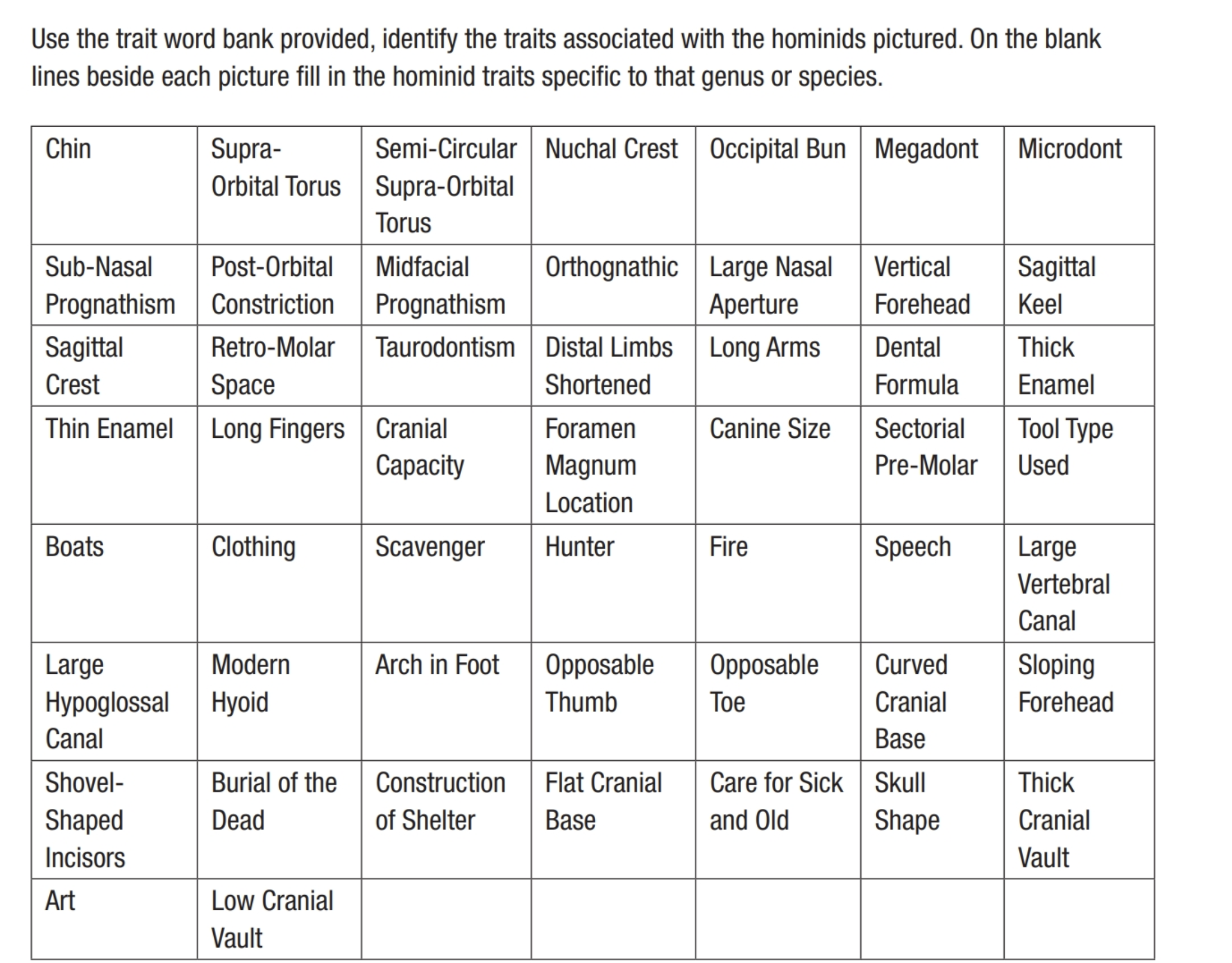 Use the trait word bank provided, identify the traits | Chegg.com