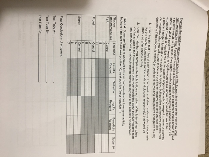 Solved Examine the positive and negative controls up front | Chegg.com